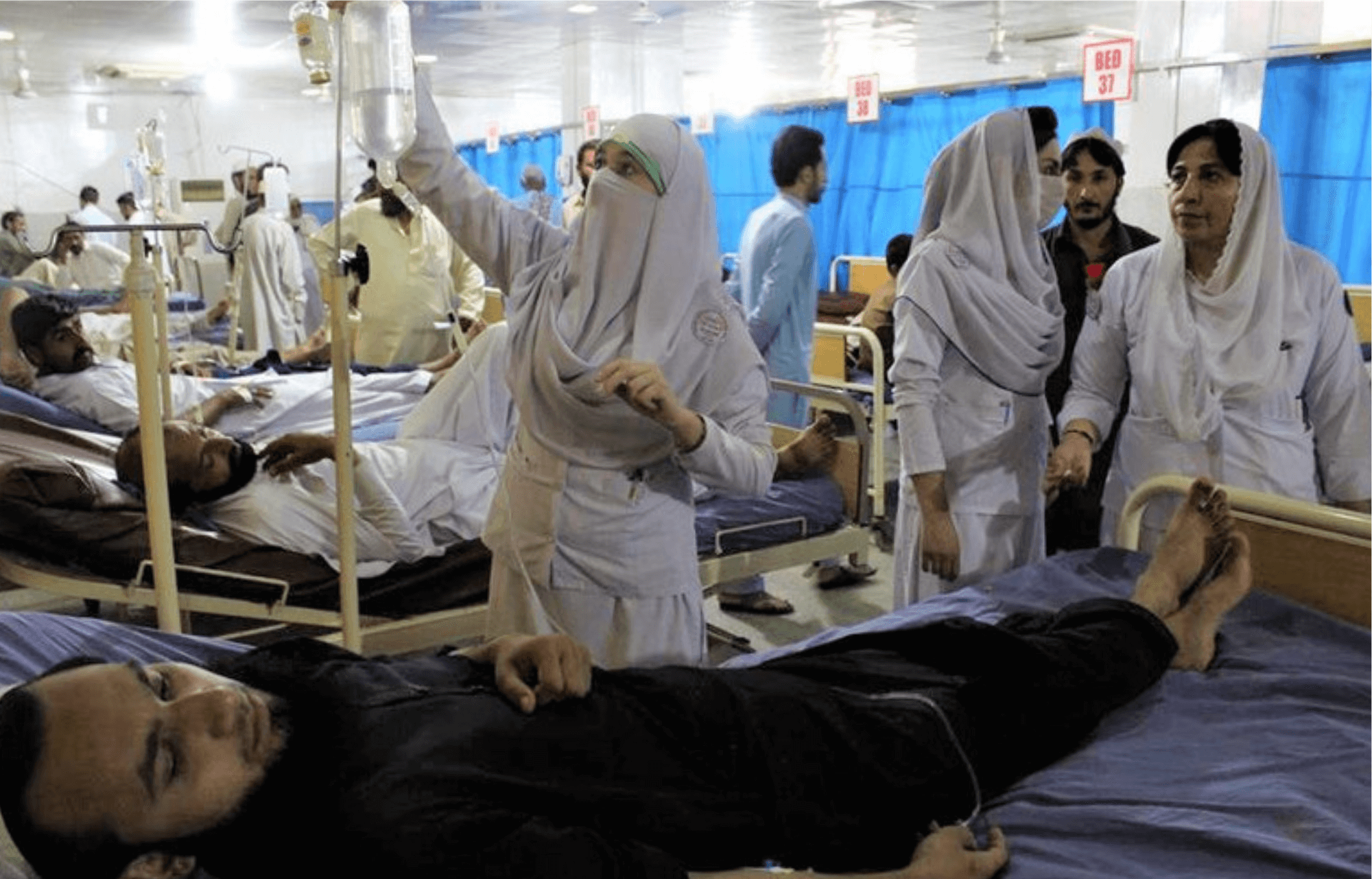 Fruit of Sustainability